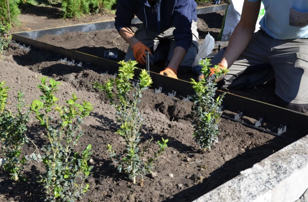 PVC robniki za vrt 8cm - Živameja.si